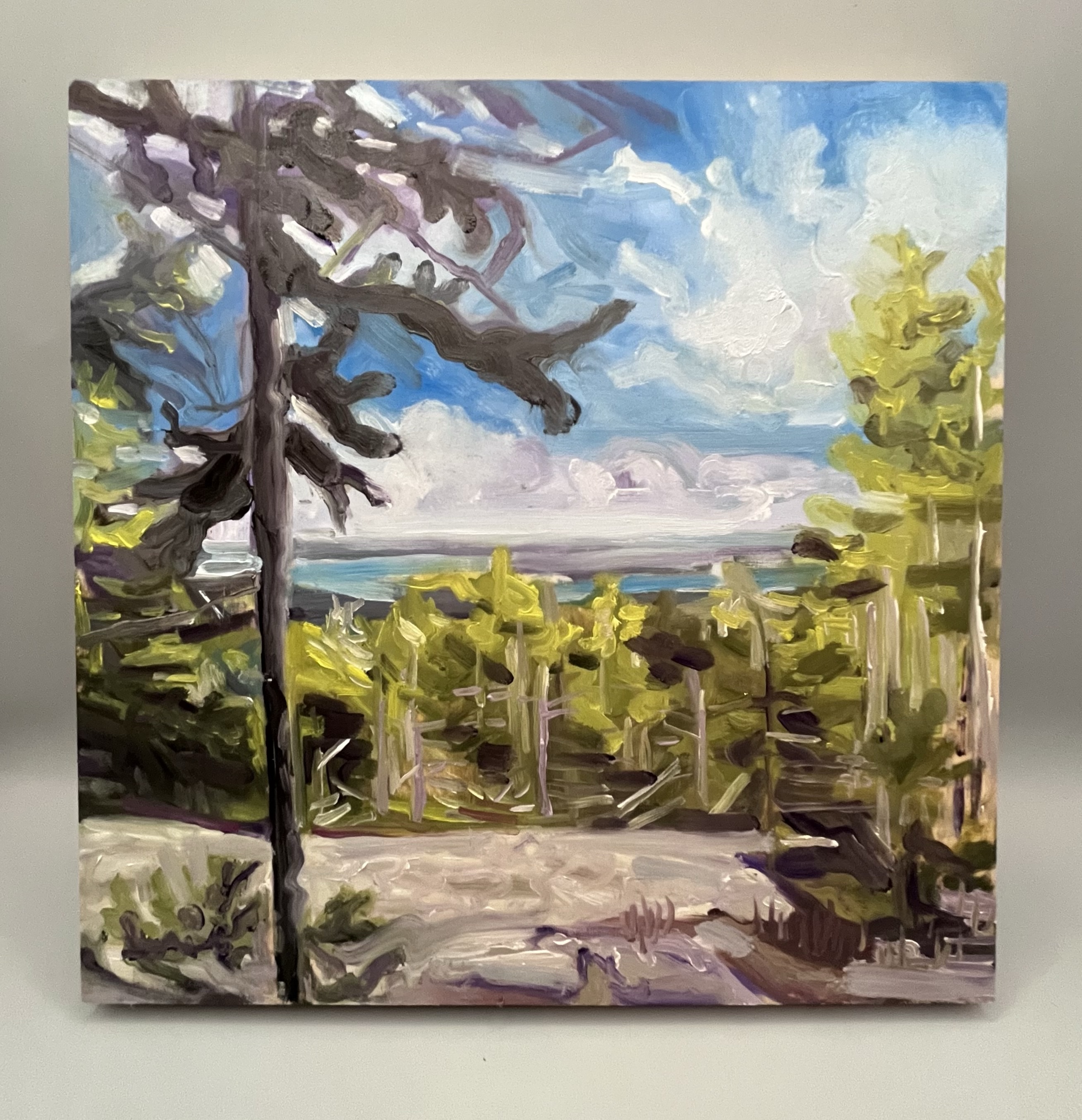 Razorback Trail – The Artwork of Mari(Anne) Brown